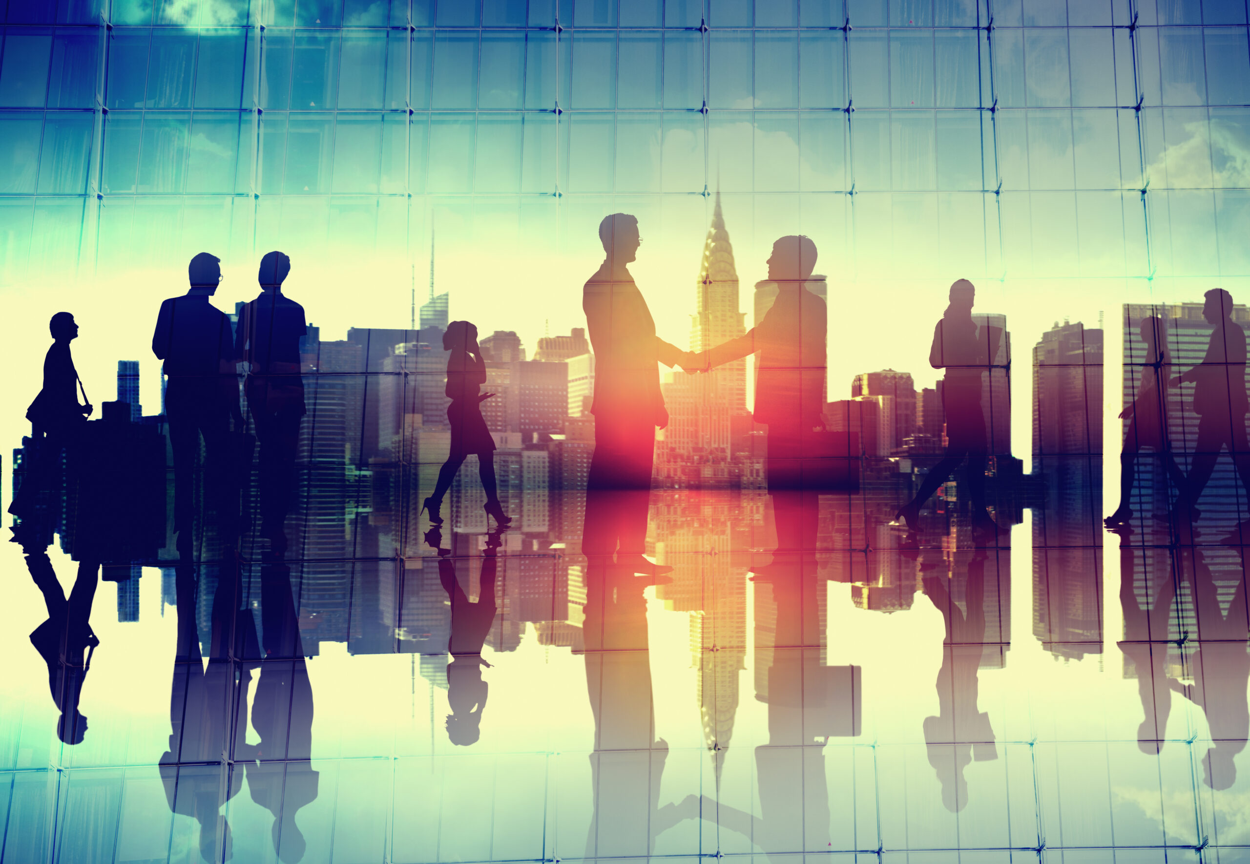 Discover the TISA membership